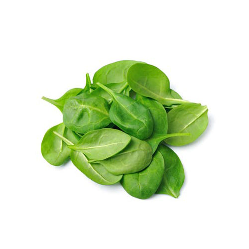 Everyday Wellness™ Shot | 1000mg of Vitamin C | Immune Support ...